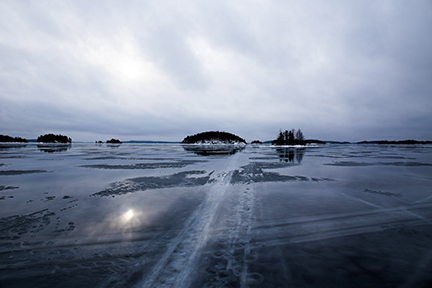 Puulan hiljaisuudesta puulatietoisuuteen – PUULA
